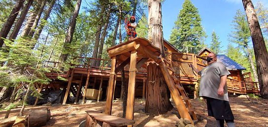 "Tree House Platforms - Tree Deck Builders"
